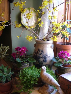 Spring in my Kitchen jigsaw puzzle in Flowers puzzles on ...