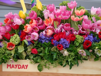 May Day in Annapolis jigsaw puzzle in Puzzle of the Day puzzles on ...