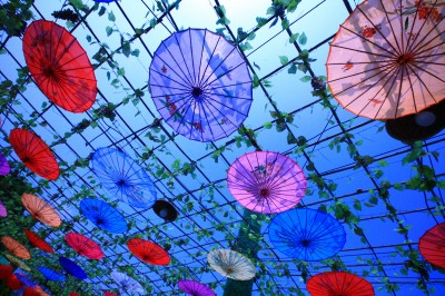 Colorfully Refreshing Shade jigsaw puzzle in Puzzle of the Day puzzles ...