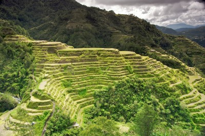 Banaue Rice Terraces jigsaw puzzle in Great Sightings puzzles on ...