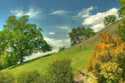 A Trail on Shell Ridge jigsaw puzzle in Great Sightings puzzles on ...