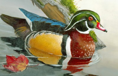 Jr Duck Stamp Art Contest jigsaw puzzle in Puzzle of the Day puzzles on ...