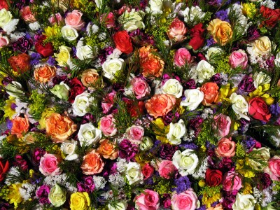 Roses jigsaw puzzle in Flowers puzzles on TheJigsawPuzzles.com (#4797873)
