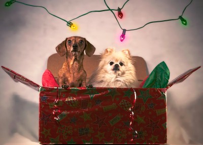 Christmas Party Animals jigsaw puzzle in Christmas & New Year puzzles ...