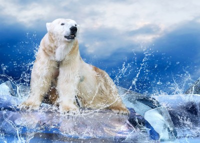 Polar Bear jigsaw puzzle in Animals puzzles on TheJigsawPuzzles.com ...
