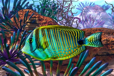 Big Fish jigsaw puzzle in Under the Sea puzzles on TheJigsawPuzzles.com