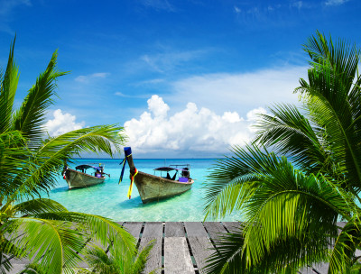 Tropical Beach jigsaw puzzle in Great Sightings puzzles on ...