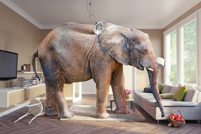 Elephant in the Room jigsaw puzzle in Animals puzzles on ...