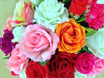 Roses jigsaw puzzle in Flowers puzzles on TheJigsawPuzzles.com (#6569714)