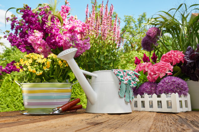In the Garden jigsaw puzzle in Puzzle of the Day puzzles on ...