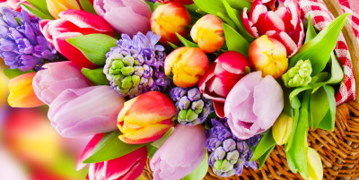 Spring Flowers jigsaw puzzle in Flowers puzzles on TheJigsawPuzzles.com ...