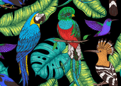 Hoopoe, Hummingbird, Quetzal, and Ara jigsaw puzzle in Animals puzzles ...