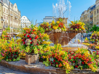 Victory Square, Timisoara, Romania jigsaw puzzle in Waterfalls puzzles ...