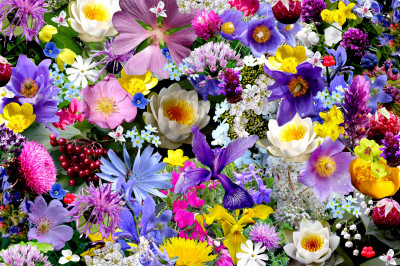 Spring Flowers jigsaw puzzle in Flowers puzzles on TheJigsawPuzzles.com ...