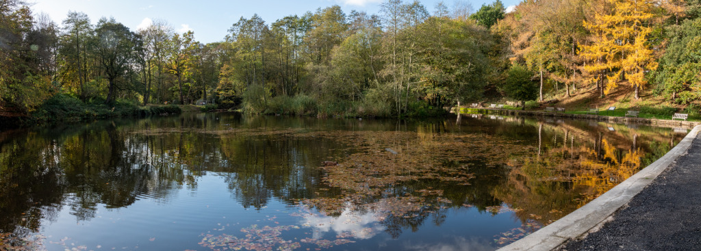 Forge Dam, Sheffield jigsaw puzzle in Tom Hide puzzles on ...