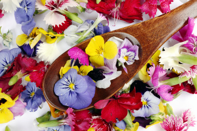 Edible Violet and Carnation Flowers jigsaw puzzle in Flowers puzzles on ...