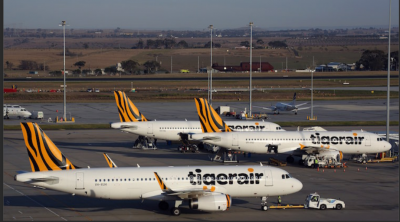 tiger air jigsaw puzzle in Adithya AN puzzles on TheJigsawPuzzles.com