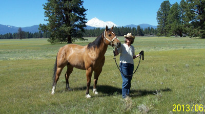 Clarice and Fancy jigsaw puzzle in Clarice Rinard puzzles on ...