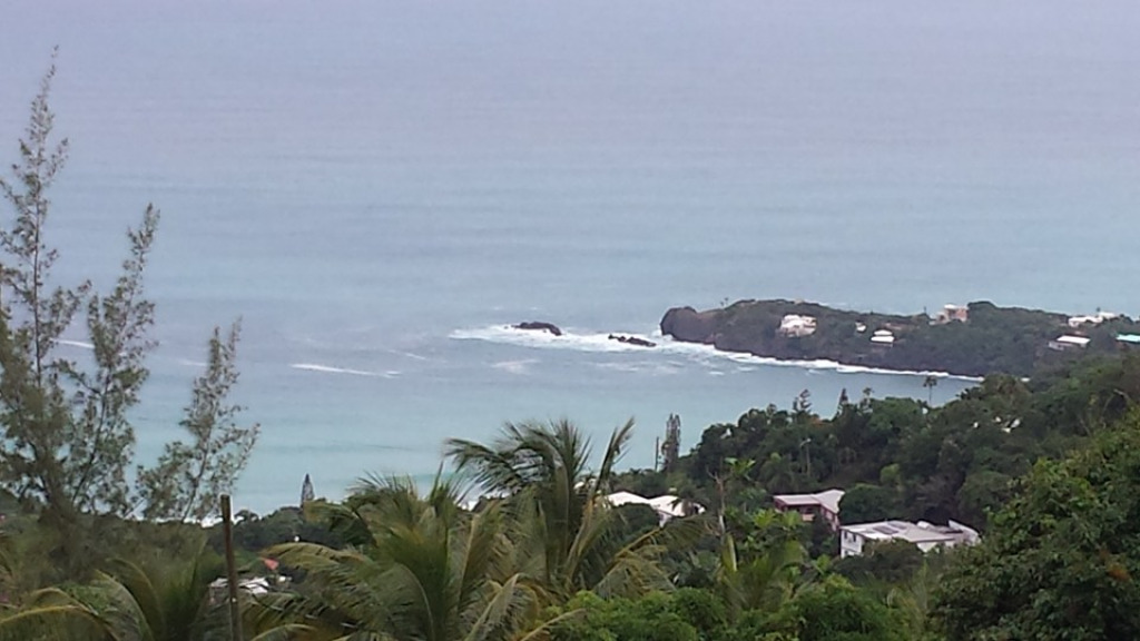 Noeth Side St. Thomas, USVI jigsaw puzzle in Rene Quetel puzzles on ...