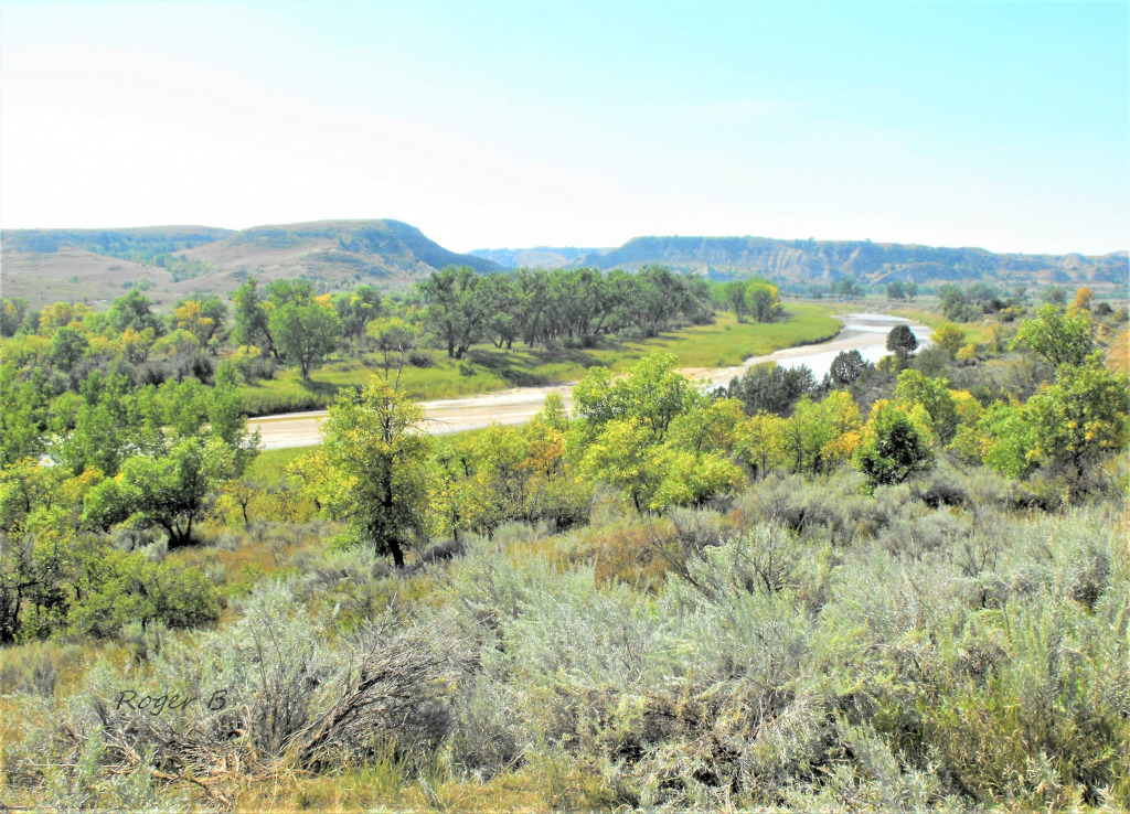 DSCF0159 jigsaw puzzle in Roger Buffington puzzles on TheJigsawPuzzles.com