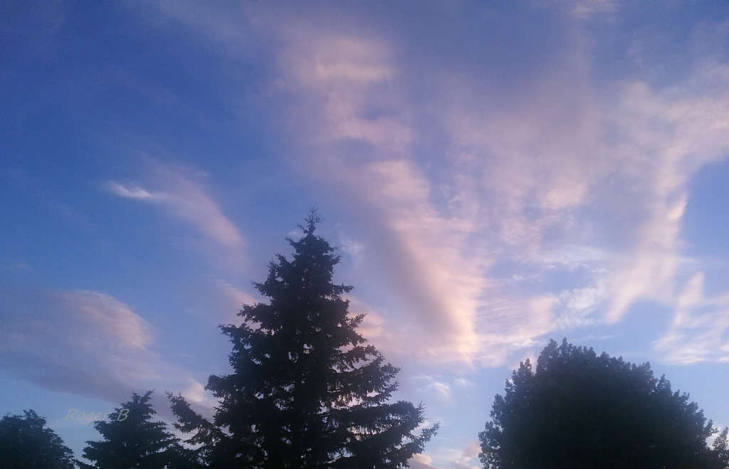 004 jigsaw puzzle in Roger Buffington puzzles on TheJigsawPuzzles.com