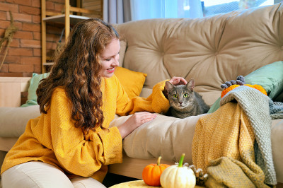 Cute Cat jigsaw puzzle in Animals puzzles on TheJigsawPuzzles.com ...