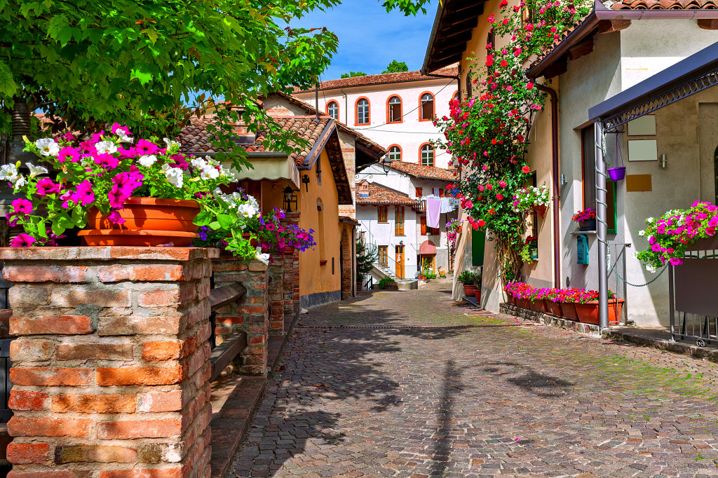 Narrow Cobblestone Street and Typical Houses Decorated With Flowers In ...