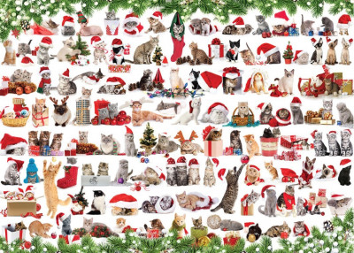 rese63@msn.com puzzles on TheJigsawPuzzles.com